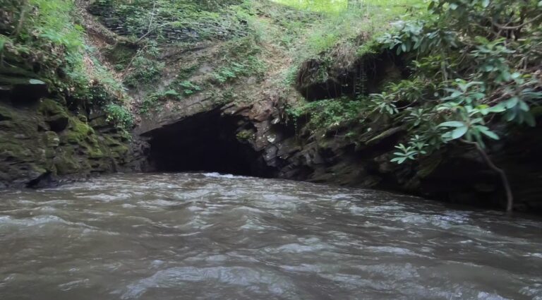 Etowah Water Trail - Georgia's Watery Wonders
